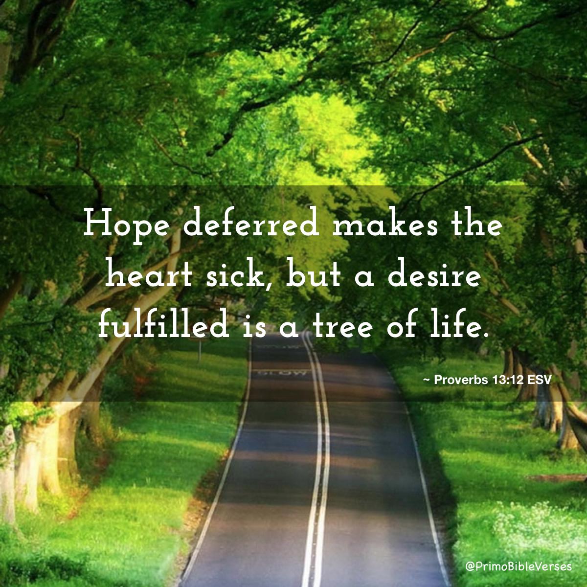I Am Reflecting upon Making the Decision to Follow God. A Hope Deferred ...