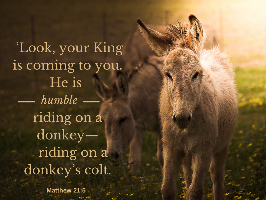 Jesus’ Triumphal Entry! Our Great Expectations? What About A King ...