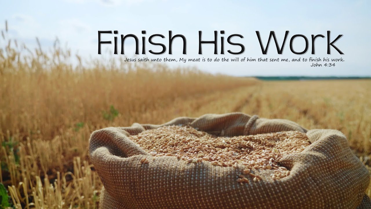 Our Courage and Our Compassion to Do the Will Of Him Who Sent Us, To ...