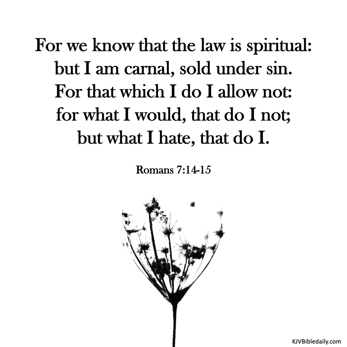 The “I” Problem. Romans 7:14-25 – Loving God, Living God, Loving Hope ...
