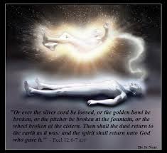 Do remember your Creator in your youth; before the Silver (Spinal) Cord ...